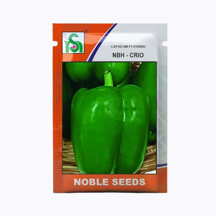 Buy Noble Capsicum NBH-CRIO Seeds – Blocky Green Fruits, High Yield ...