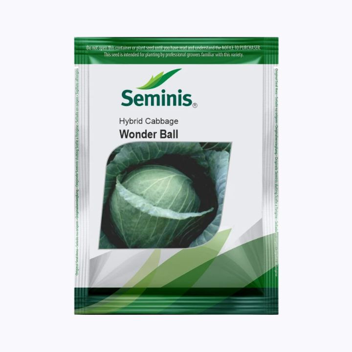 Buy Seminis Wonder Ball Hybrid Cabbage Seeds – Organic, High Yield ...