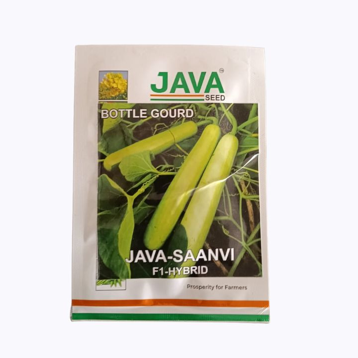 Buy Saanvi F1 Hybrid Bottle Gourd Seeds Online – Java Seed | KisanShop